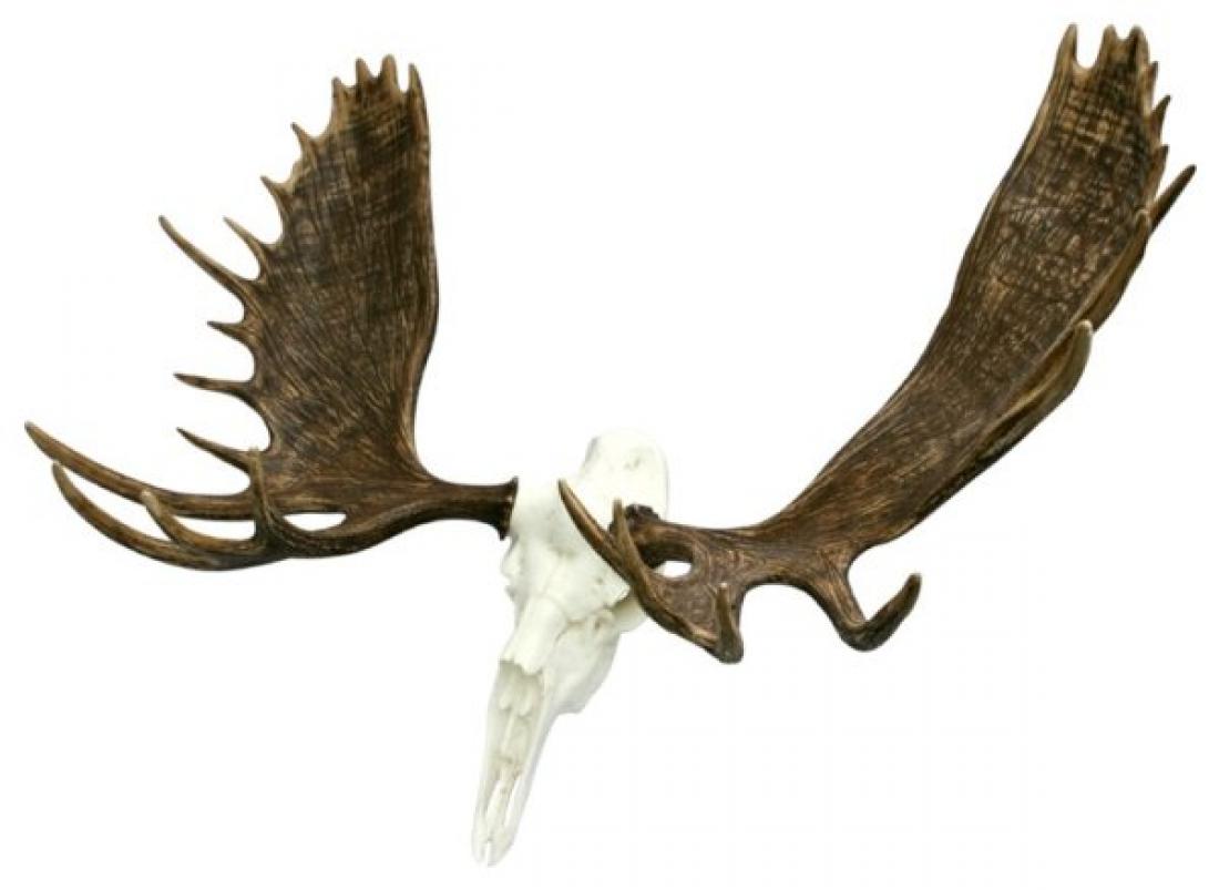 European Mounts | Cast Alaskan Moose European Mount | Rustic/Cabin ...